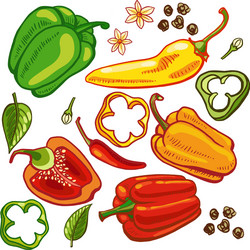 Salt and pepper cartoon food Royalty Free Vector Image