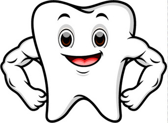 Strong tooth cartoon Royalty Free Vector Image