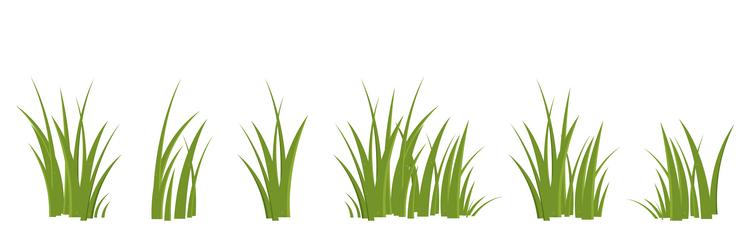 Cartoon grass leaves collection isolated on white Vector Image