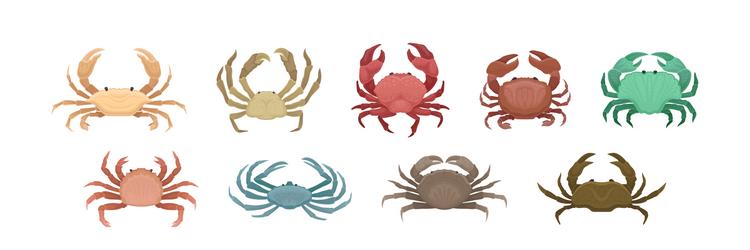 Crustaceans Vector Images (over 10,000)