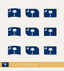 Large collection of south carolina flags Vector Image