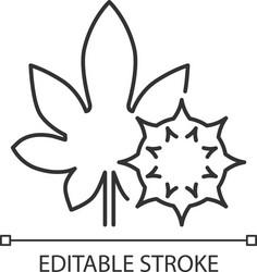 Castor Seed Vector Images (over 120)