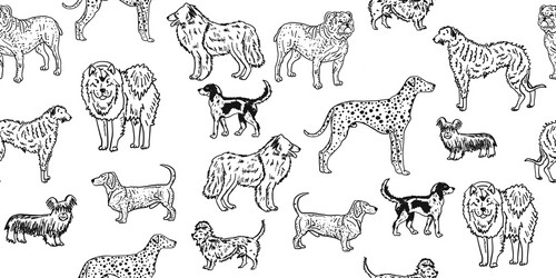 Dogs breeds collection vintage style seamless Vector Image