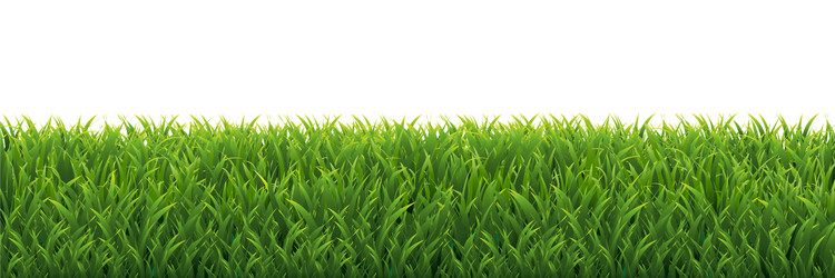 Land and Grassland Border Vector Images (over 710)