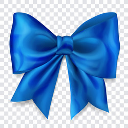 Beautiful isolated blue bow Royalty Free Vector Image