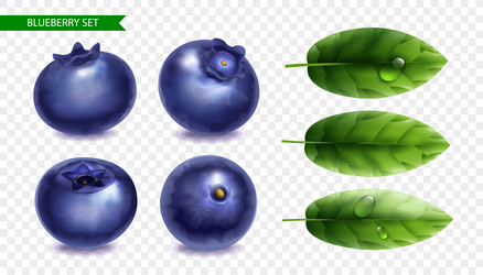Blueberry Vector Images (over 23,000)