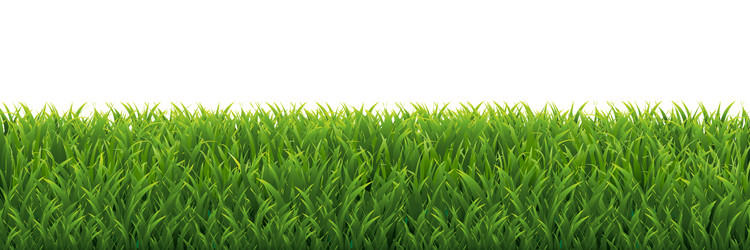 Green Grass Background Clipart