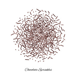 Candy sprinkle donut chocolate sprinkles isolated Vector Image