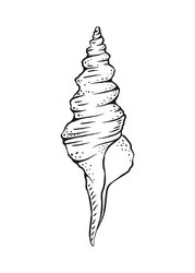 Seashell abstract boho sketch doodle style Vector Image