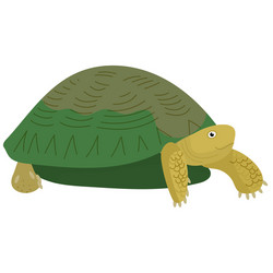 Turtle Vector Images (over 36,000)