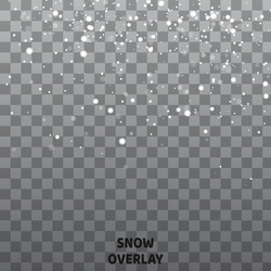 Snow overlay on transparent background Royalty Free Vector