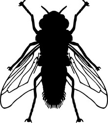 Fly Silhouette Black Outline Royalty Free Vector Image
