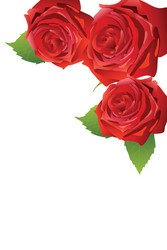 3 Roses Vector Images (over 1,200)
