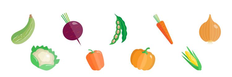 Ripe vegetables and garden crop flat icon Vector Image