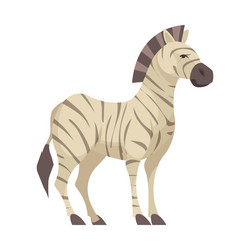 Little zebra cartoon animal Royalty Free Vector Image