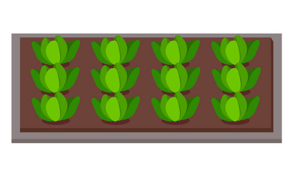 Vegetable garden flat plants Royalty Free Vector Image