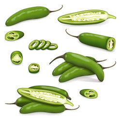 Whole and quarter of green serrano chile peppers Vector Image