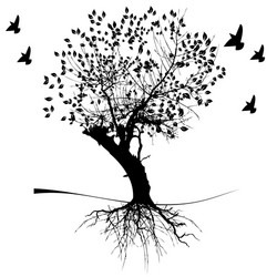 Birds flying from the tree Royalty Free Vector Image