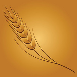 Wheat Vector Images (over 120,000)