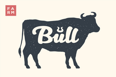 Bull design on white background wild animals Vector Image