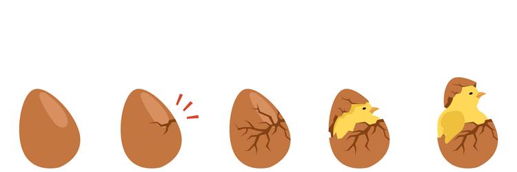 Little chick hatching out the egg Royalty Free Vector Image