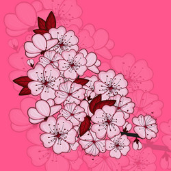 Beautiful spring cherry blossom background Vector Image