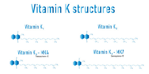 Vitamin K Structure Vector Images (83)