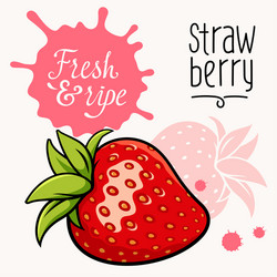 Strawberry 001 Royalty Free Vector Image - VectorStock