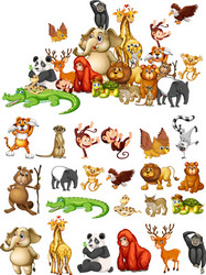 Many animals on white background Royalty Free Vector Image