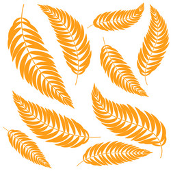 Curved Fern Vector Images (over 190)