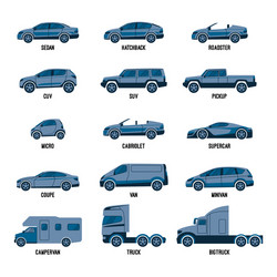 Car or automobile body type names flat Royalty Free Vector