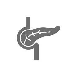 Human pancreas icon Royalty Free Vector Image - VectorStock