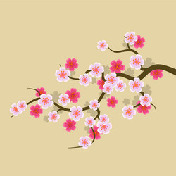 Beautiful spring cherry blossom background Vector Image