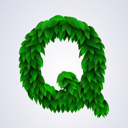 Alphabet letters made from fresh green leafs Vector Image