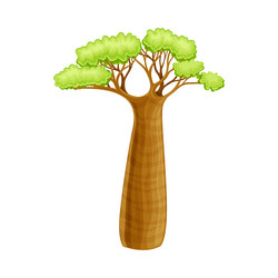 Baobab tree african powerful plant cartoon Vector Image