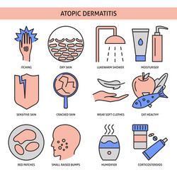 Eczema symptoms and treatment icon set in line Vector Image