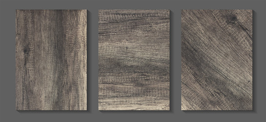 Wooden background texture in a4 size for design Vector Image