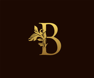 Golden b letter logo design gold b letter Vector Image