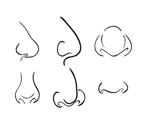 Cartoon nose symbol icon design beautiful Vector Image