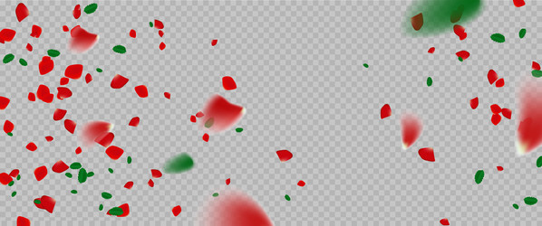 Rose confetti on transparent background ped Vector Image