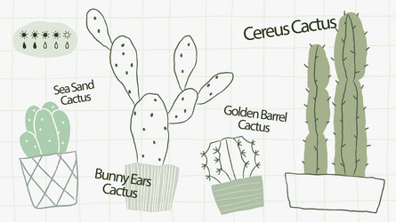 Cactus Words Vector Images (over 400)