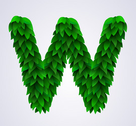 Alphabet letters made from fresh green leafs Vector Image