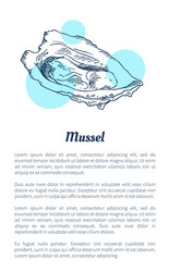 Mussel Cartoon Vector Images (over 940)