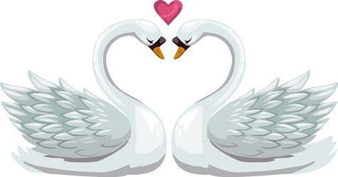 Two swans in love tender postcard Royalty Free Vector Image