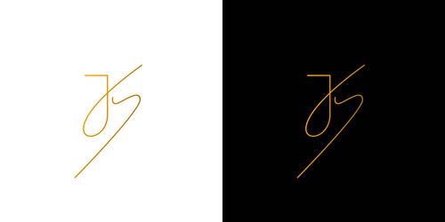 Modern and unique handwritten letter j initials Vector Image