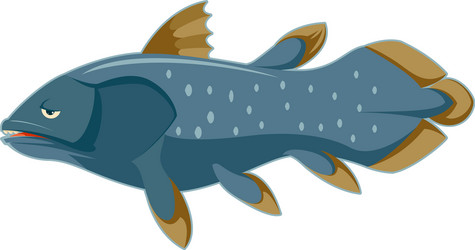 Fish Coelacanth Prehistoric Vector Images (96)