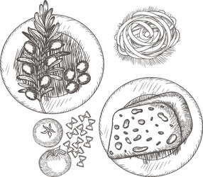 Delicious italian food in drawing Royalty Free Vector Image
