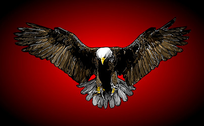 Bird Flap Vector Images (over 1,400)