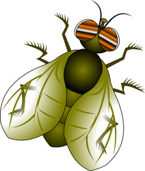 Fly Cartoon Vector Images (over 250,000)