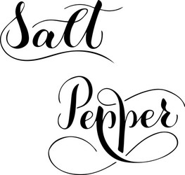 Hand written salt and pepper text isolated Vector Image